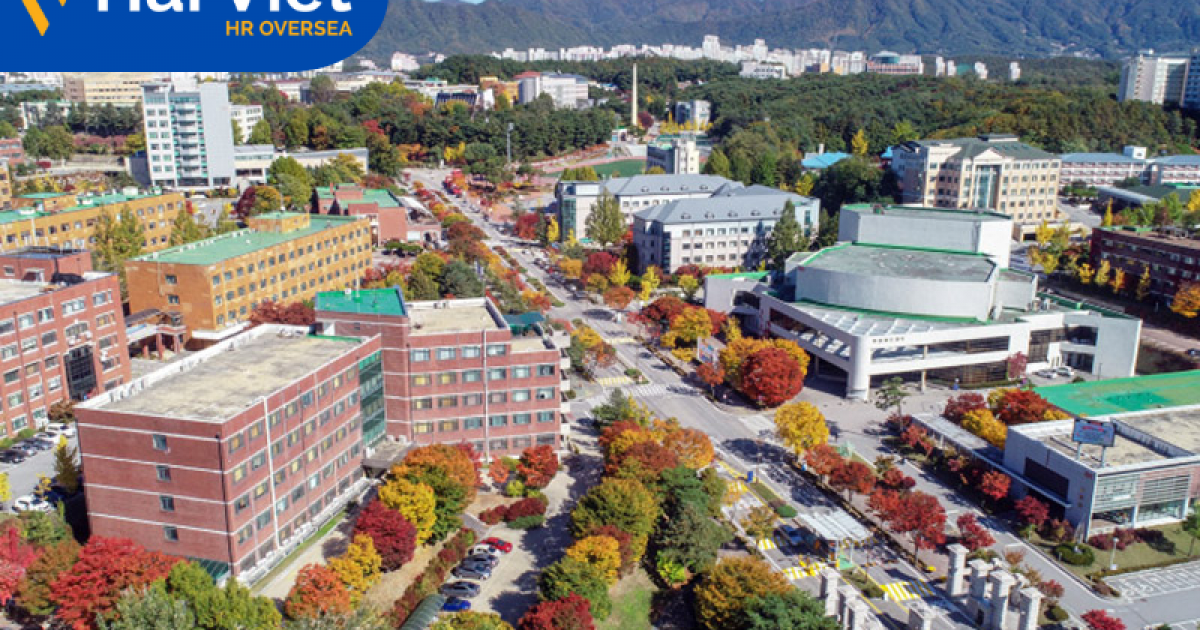 Trường Đại học Quốc gia Kangwon Hàn Quốc – 강원대학교